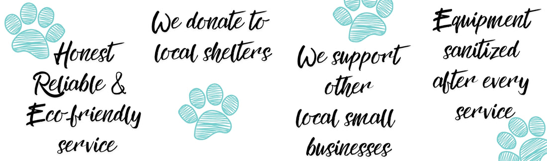 About Us – Dogville Scoopers